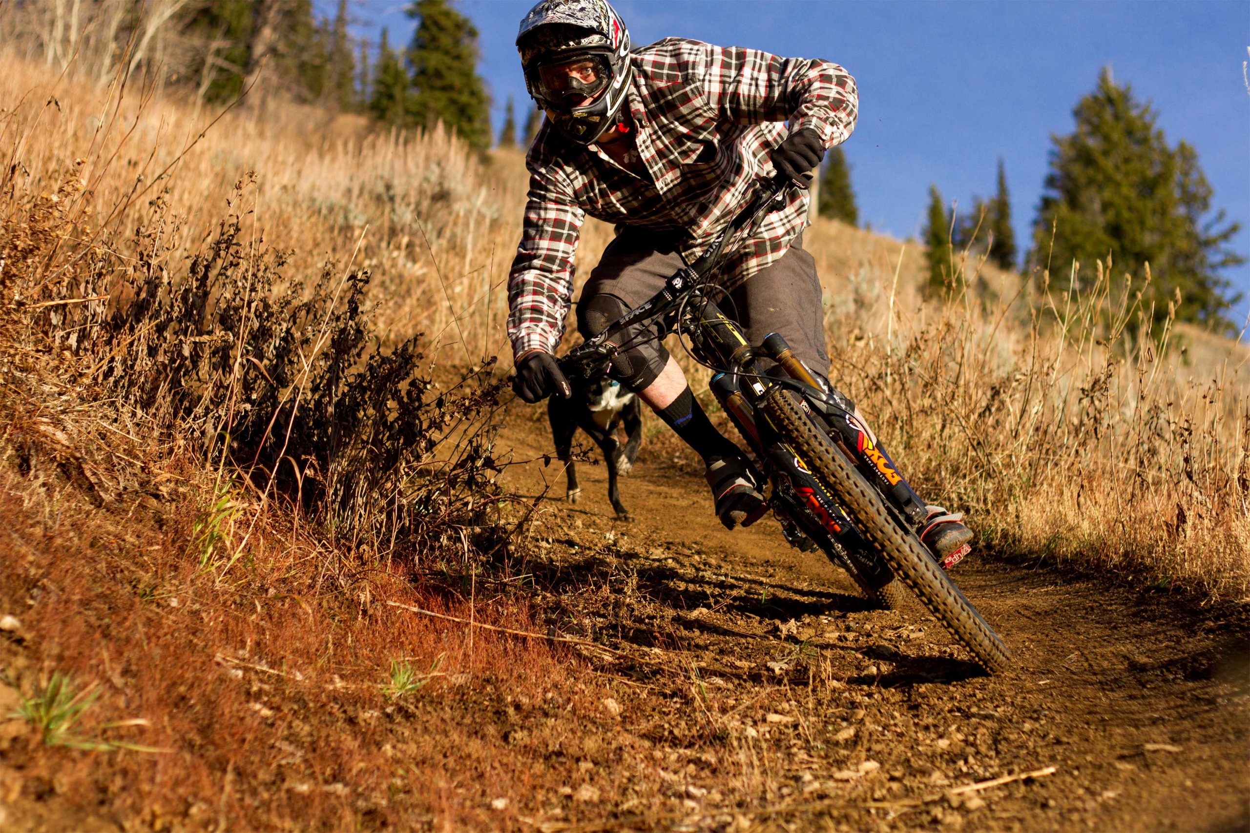 Fuzzy Bunny | Hoback Sports